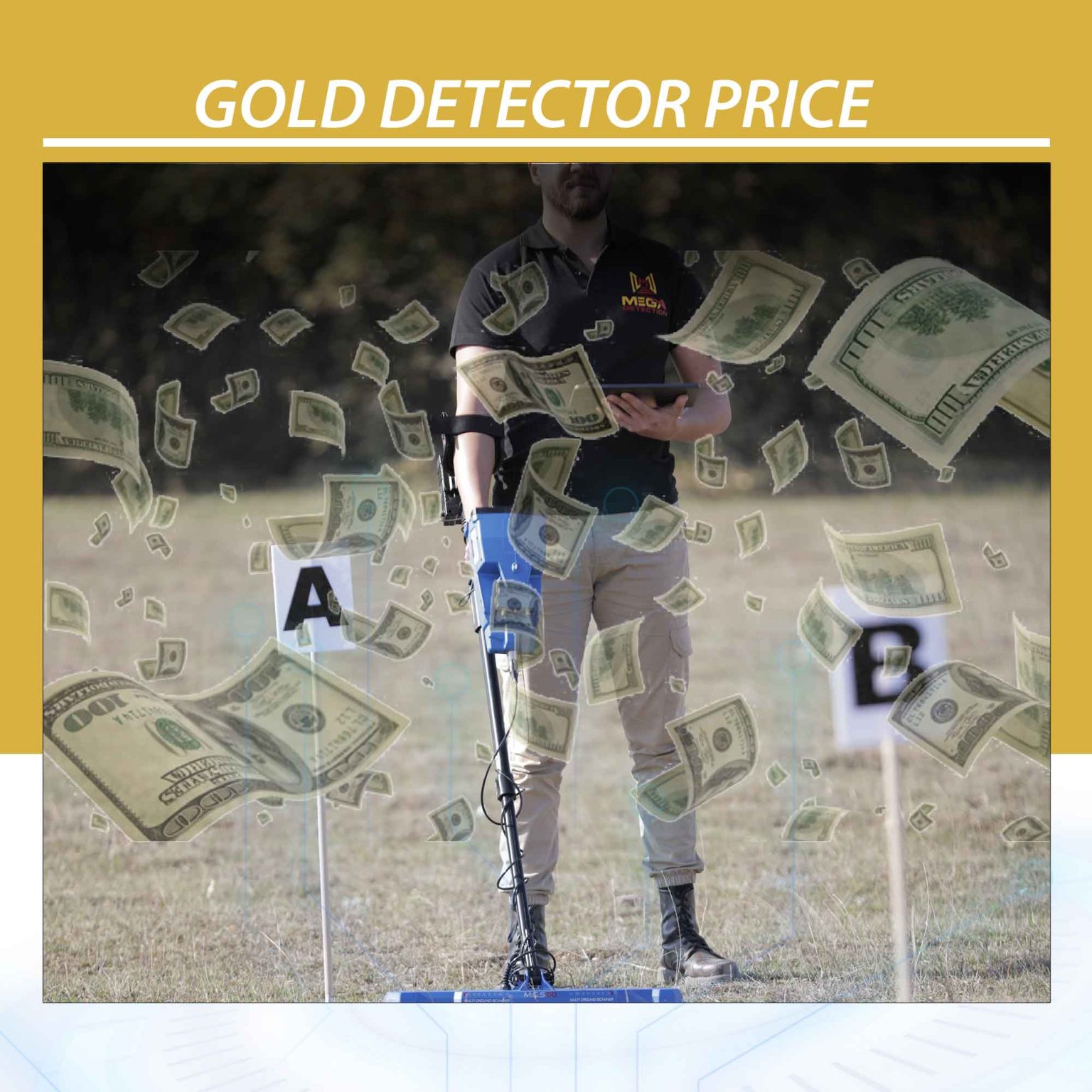 Gold Detector Price 2021 Gold Scanner Detector Price